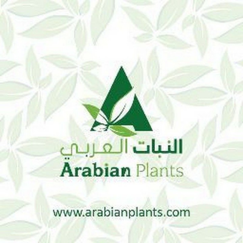 النبات العربي (@arabianplants) on Snapchat