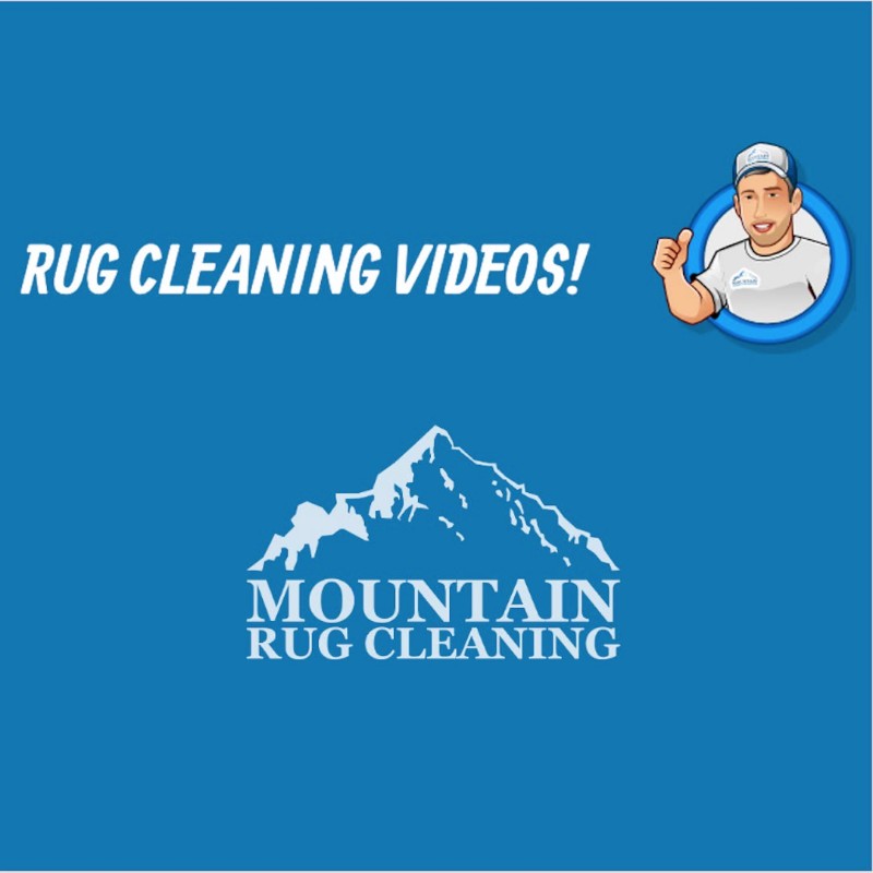 I transformed a flooded rug in 60 seconds! - Mountain Rug Cleaning ...