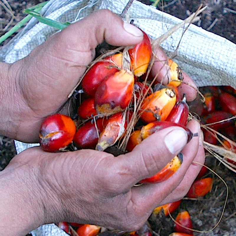 Bernie Sanders Slams Ultra-Processed Foods - News Insider | Snapchat