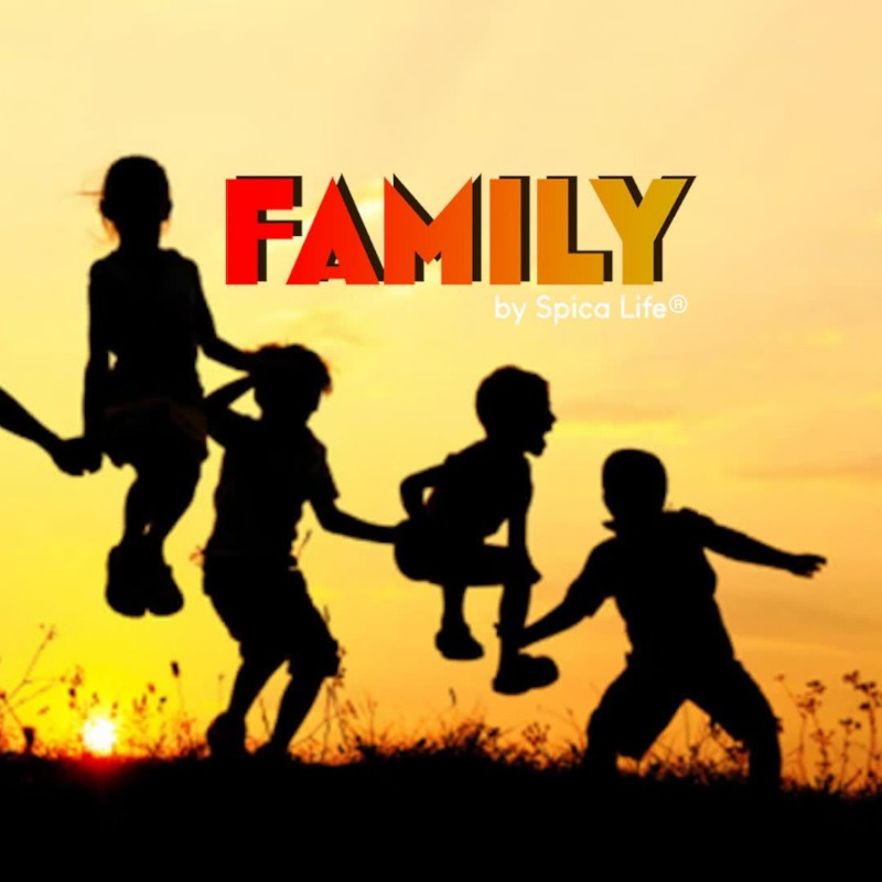 Avec ma femme on est très endurants, on s'entraîne ! 👀 - Family by ...