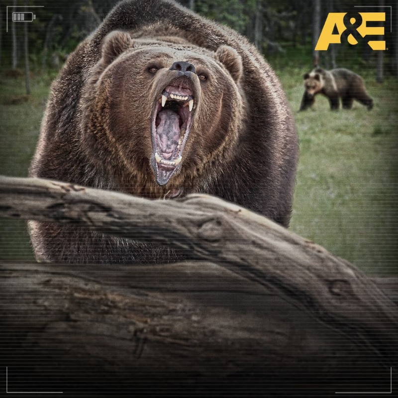 Nature Gone Wild | Snapchat