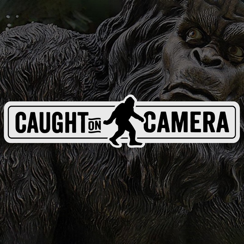 Caught On Camera Snapchat