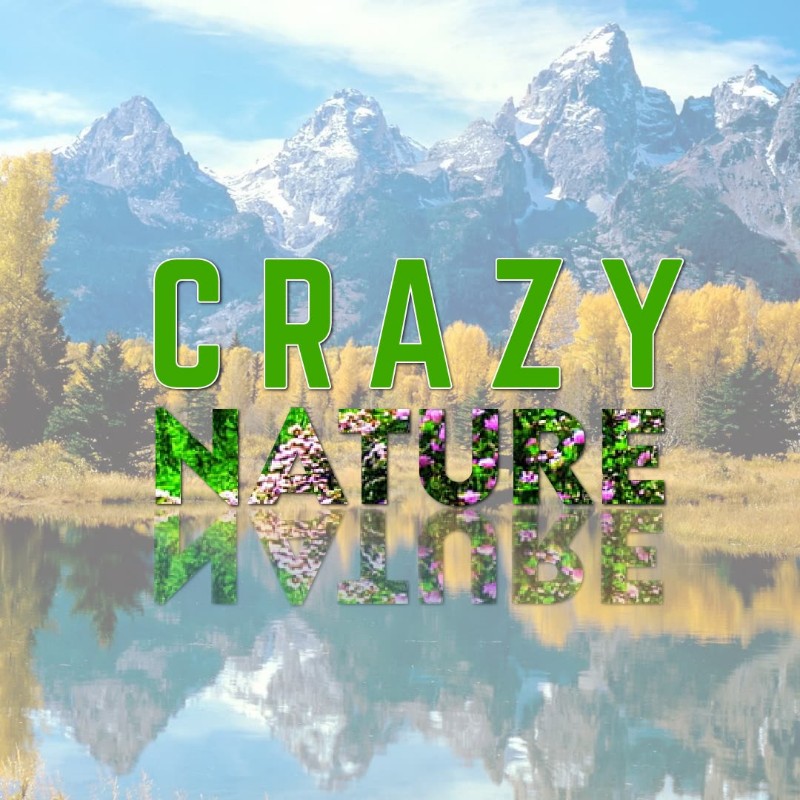 Exploring The World Of Fossil 😲 - Crazy Nature | Snapchat