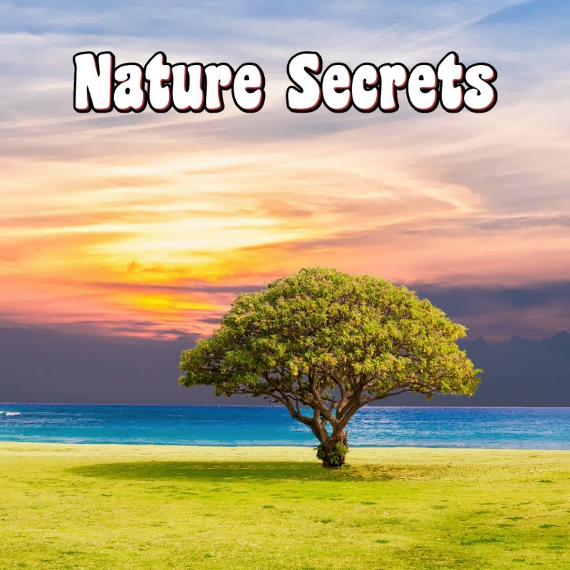 Japanese Survival 🙂 - Nature Secrets | Snapchat