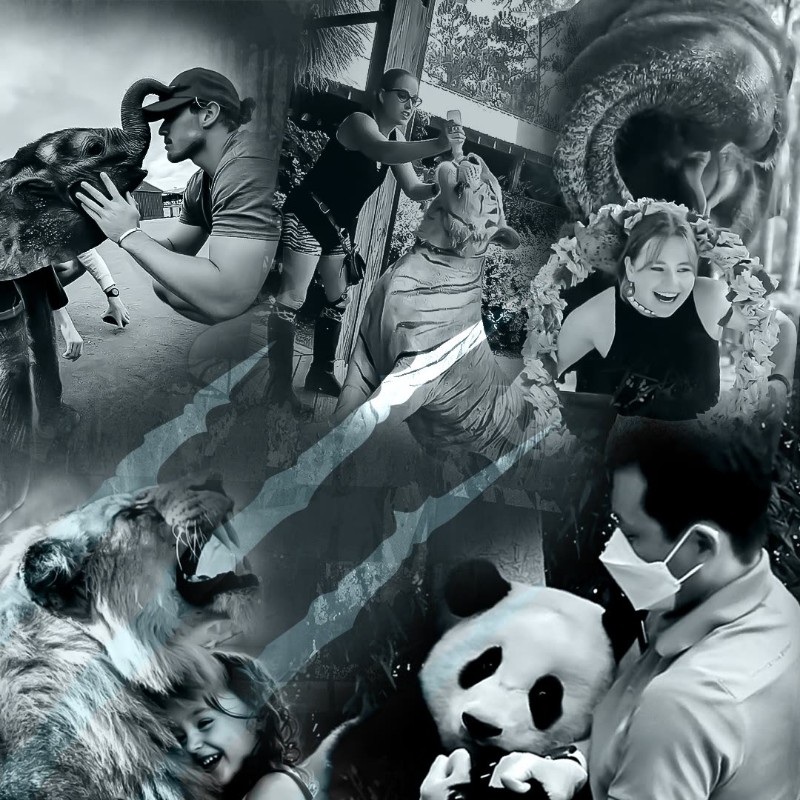 Horse Takes His Share 😁 - Gone Wild | Snapchat