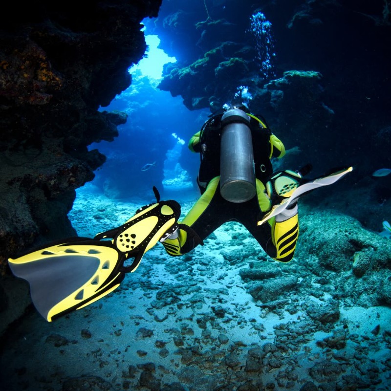 Sea World | Snapchat