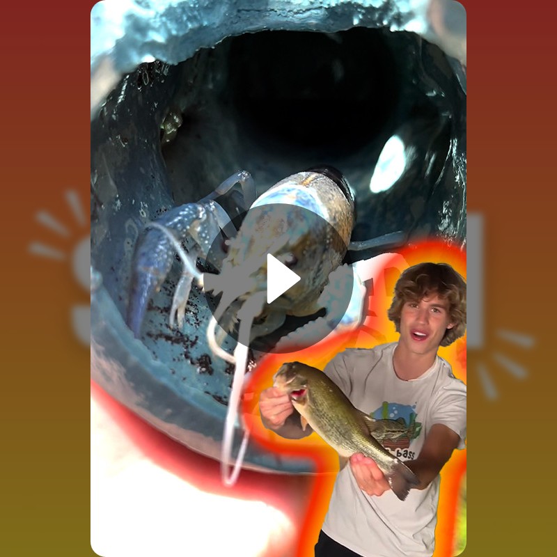 I Take My Pet Fish Everywhere ️ - Stoked | Snapchat