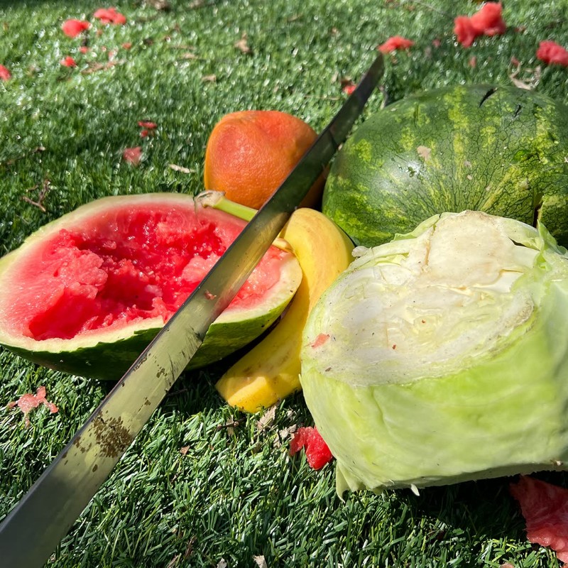 Golden Egg 😱🥚 - Fruit Ninja | Snapchat