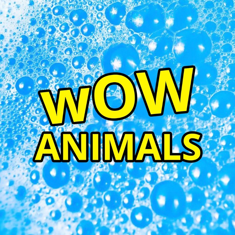 Satisfying Foam - Wow Animals | Snapchat