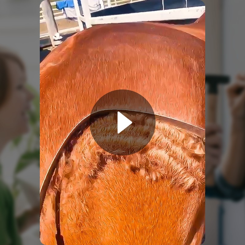 Oddly Satisfying: Horse Grooming - Craft It Yourself | Snapchat