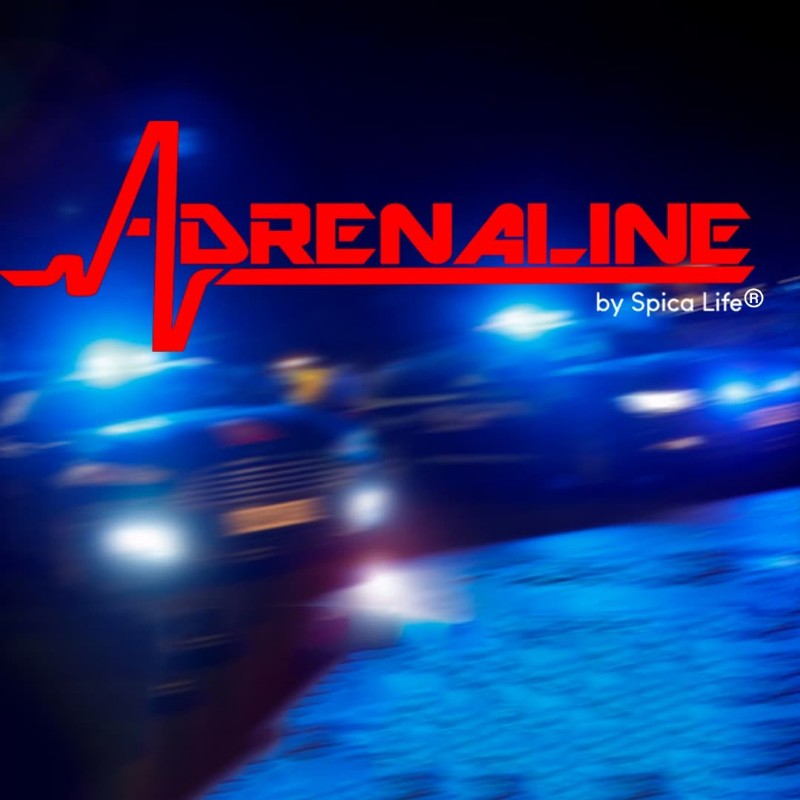 Il vole un policier et se fait vite attraper! - Adrénaline by Spica ...