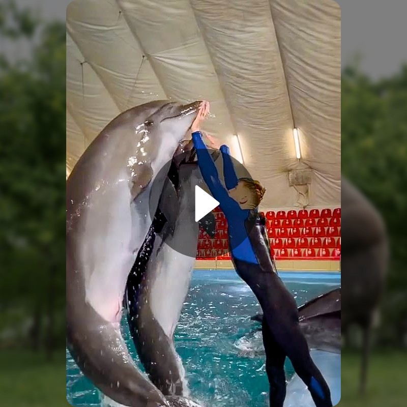 This Will Leave You Speechless! - Viral Animals | Snapchat