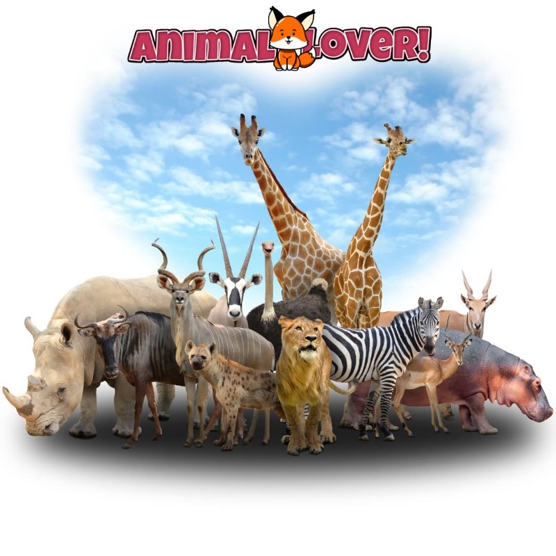 110k Fishes 🤫 - Animal Lover | Snapchat