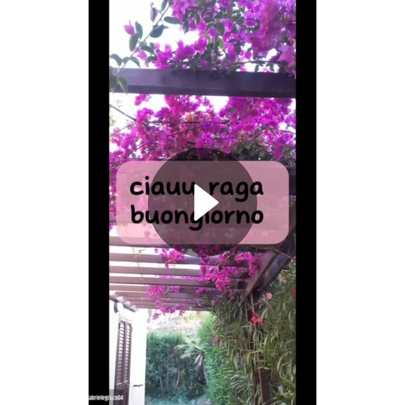 preppy_ade | Spotlight on Snapchat