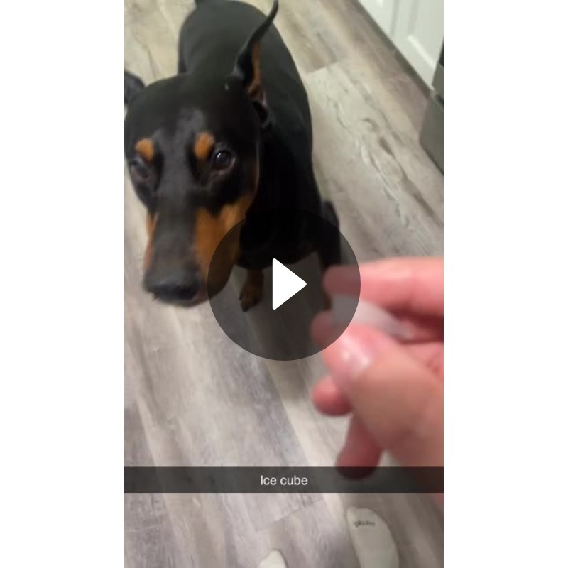 Ice cube | Spotlight on Snapchat