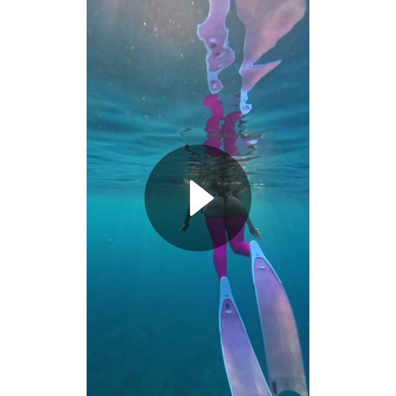 ocean Underwater Beach Swim Snorkel Sea animals Sea anemone Scuba ...