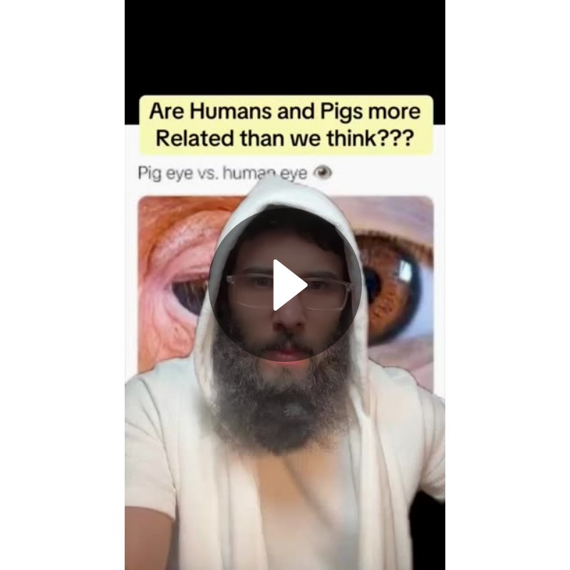 anas_action | Spotlight on Snapchat