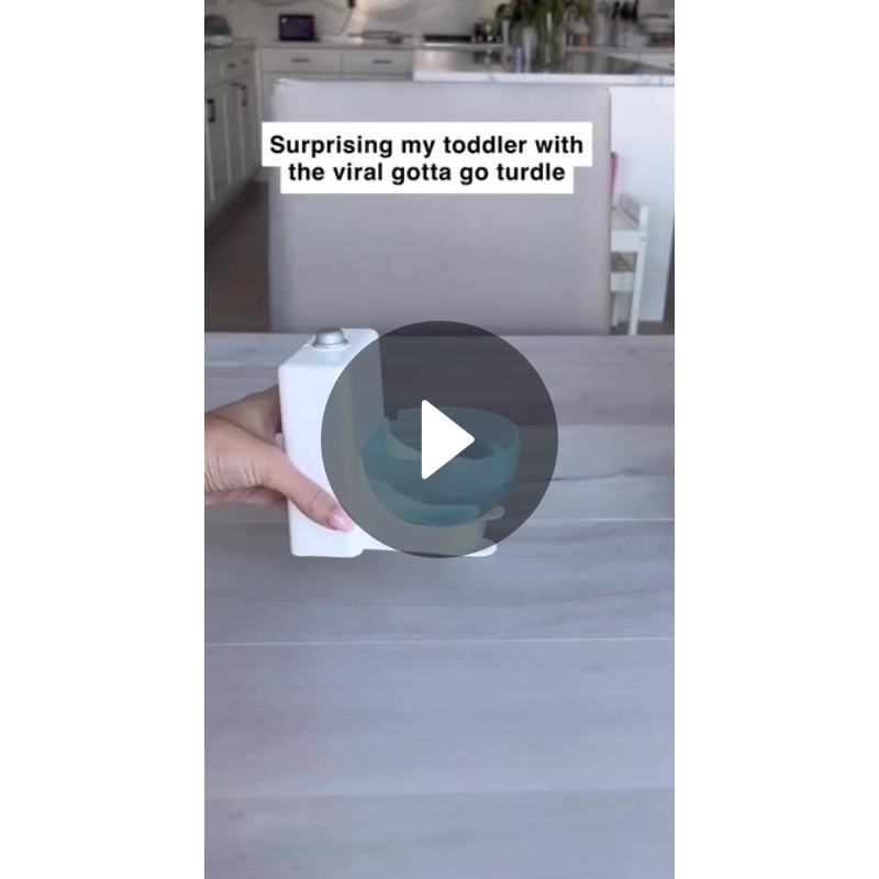 Surprising my toddler with the viral gotta go turdle | Spotlight on ...