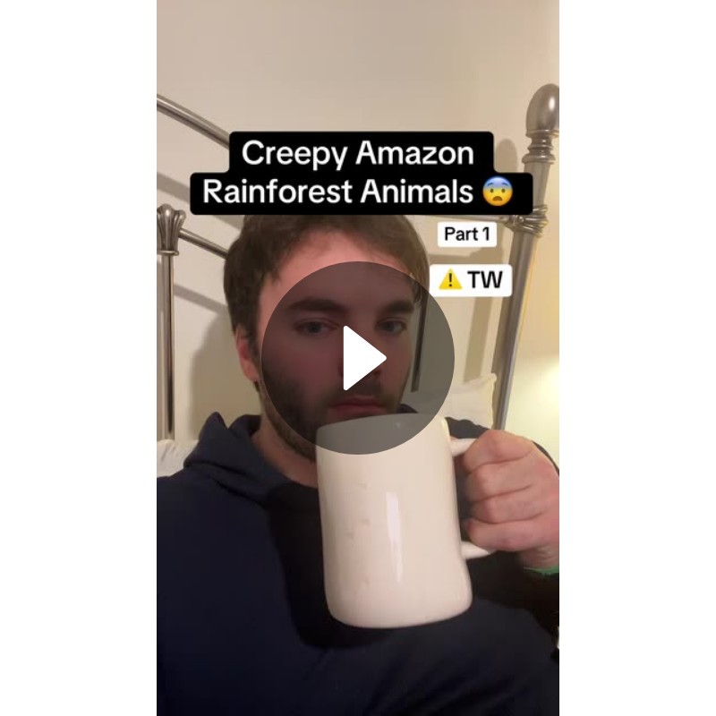 Creepy Amazon Rainforest Animals You Need To Know About | Video by ...