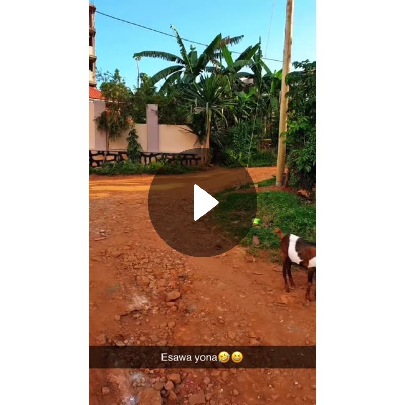 Esawa yona🤣😆 | Spotlight on Snapchat
