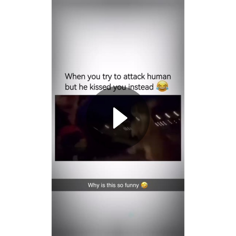 Why is this so funny 🤣 | Spotlight on Snapchat