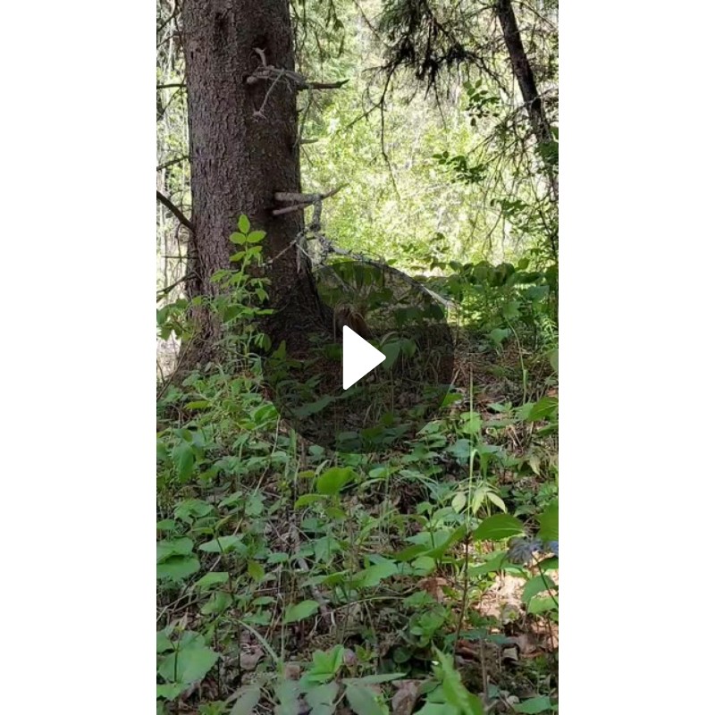 steve.has | Spotlight on Snapchat