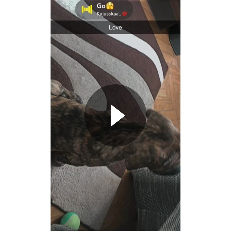 Love | Spotlight on Snapchat