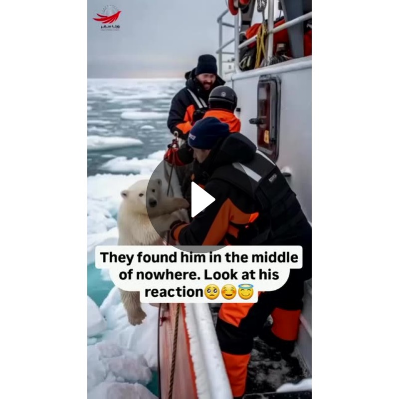 animal.hub | Spotlight on Snapchat