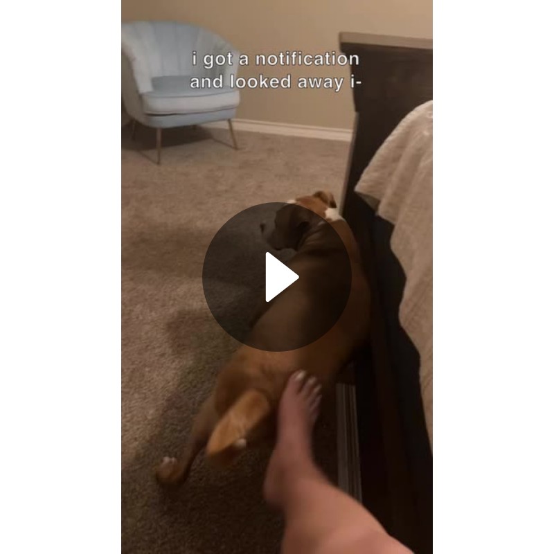 i got a notification and looked away i- | Spotlight on Snapchat