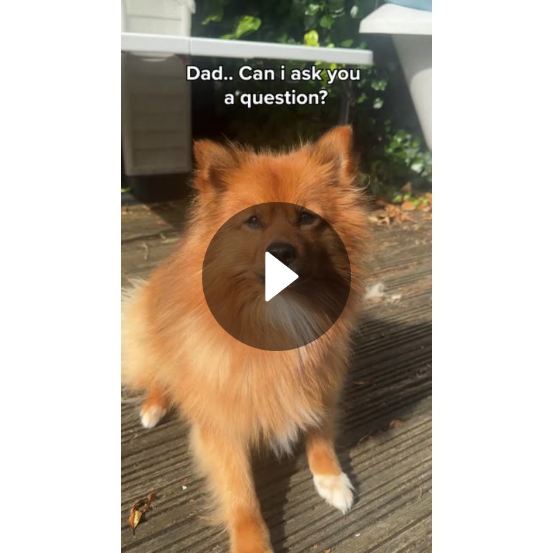 Jake Sweet (@jakebsweet) | Child humorously questions their cost to dad ...