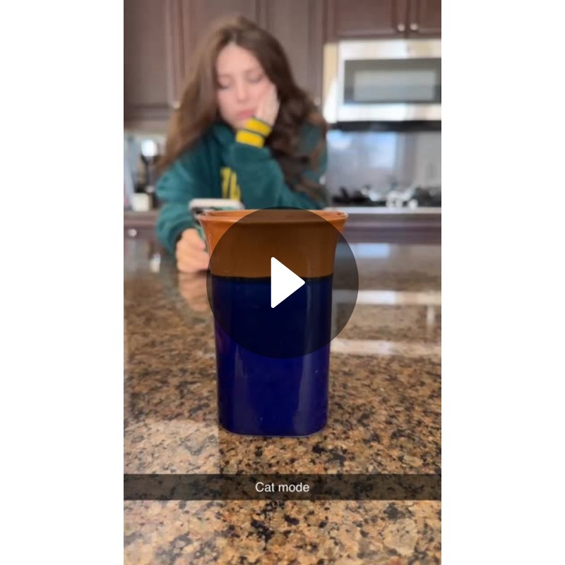 Cat mode | Spotlight on Snapchat