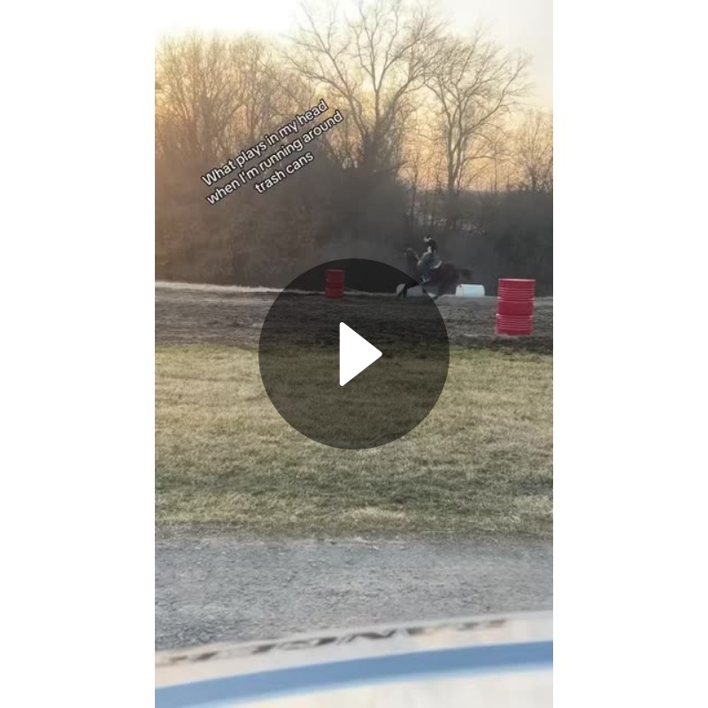 ellee_wheeldon | Spotlight on Snapchat
