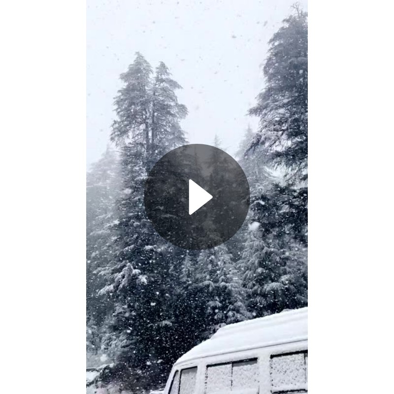 Snowy Forest Adventure: Exploring a Winter Wonderland | Video by ...