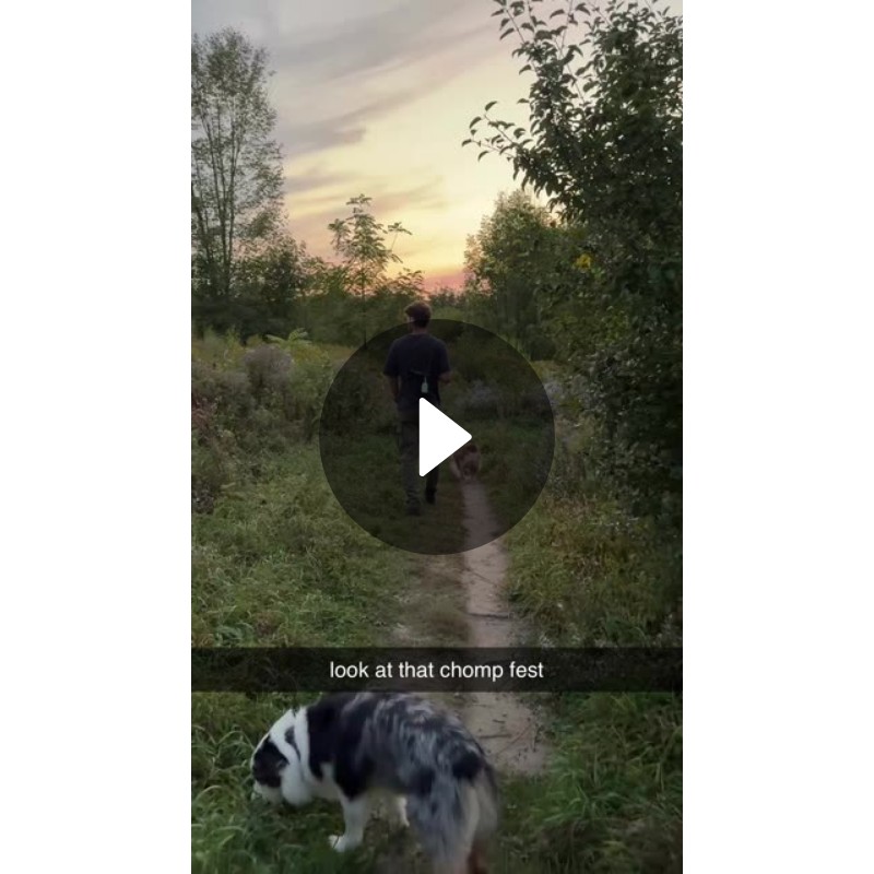 look at that chomp fest | Spotlight on Snapchat