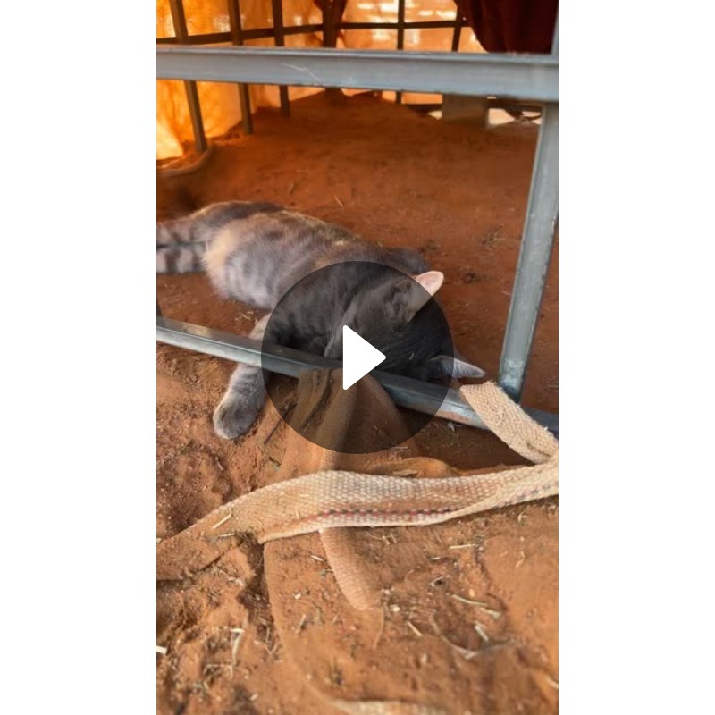 abo.esh | Spotlight on Snapchat