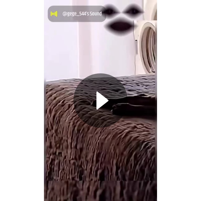 mk.lodo | Spotlight on Snapchat