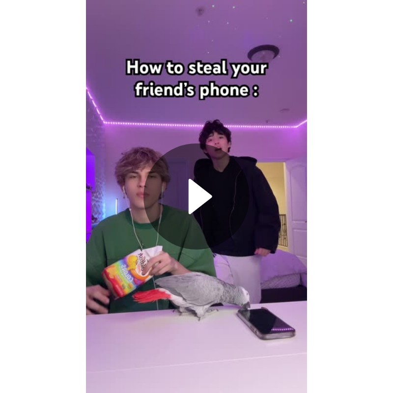 Andrew Pav (@andrewpav19) | This Is How To SUCCESSFULLY Steal Your ...
