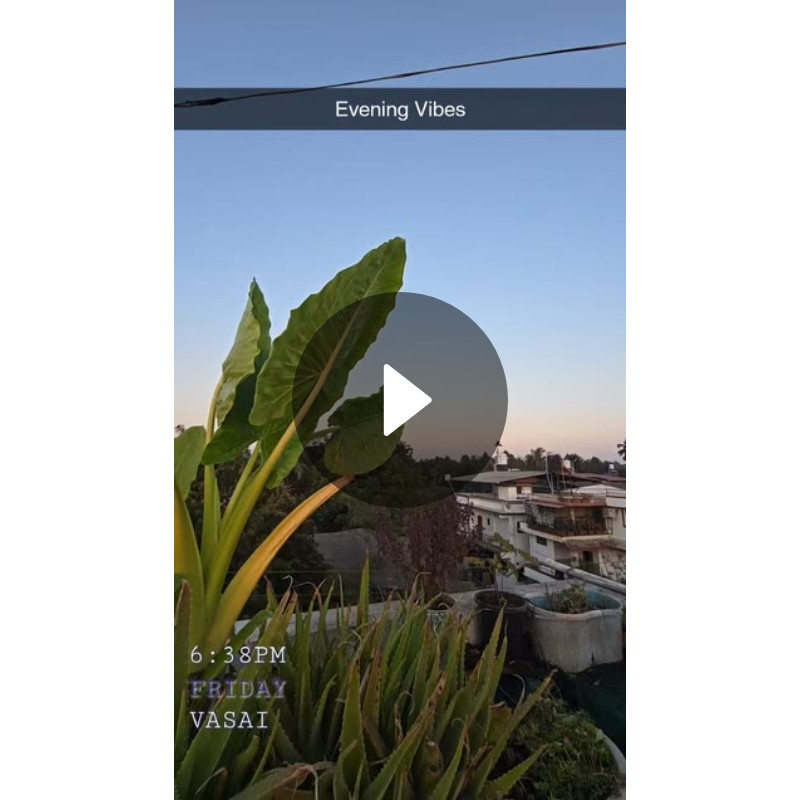 Evening Vibes | Spotlight on Snapchat