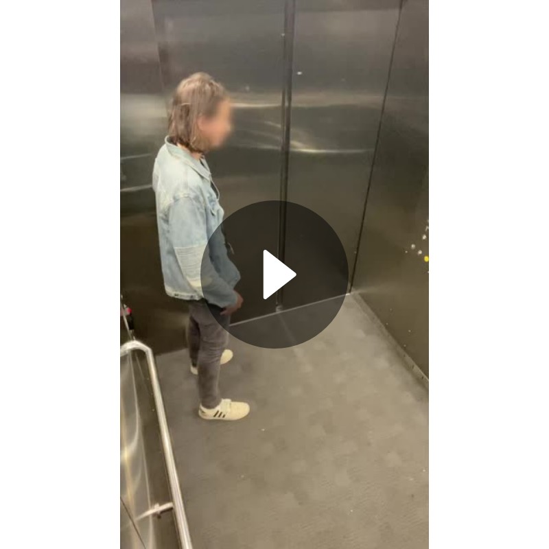 taipan-1 | Spotlight on Snapchat