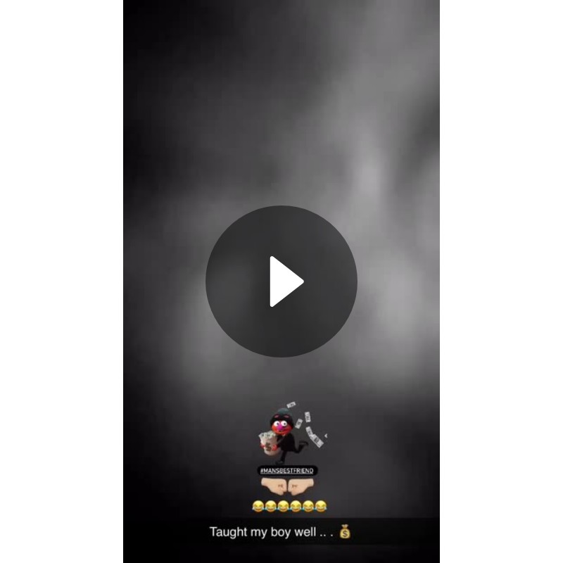 Taught my boy well .. . 💰 | Spotlight on Snapchat