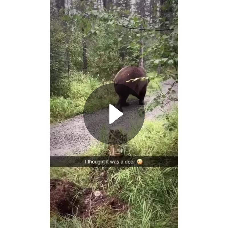 djshonci | Spotlight on Snapchat