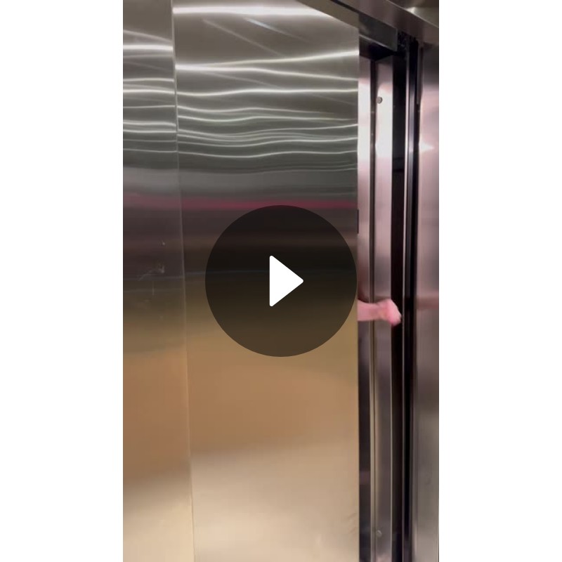 yellz000 | Spotlight on Snapchat