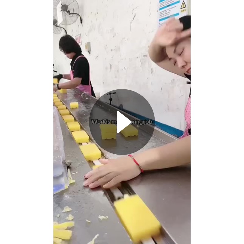Factory Workers Perform Monotonous Task in Boring Job | Video by Animal ...