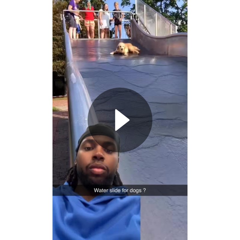 Water slide for dogs ? | Spotlight on Snapchat
