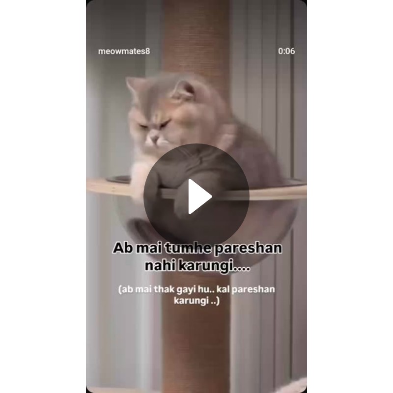 silentgirl24119 | Spotlight on Snapchat