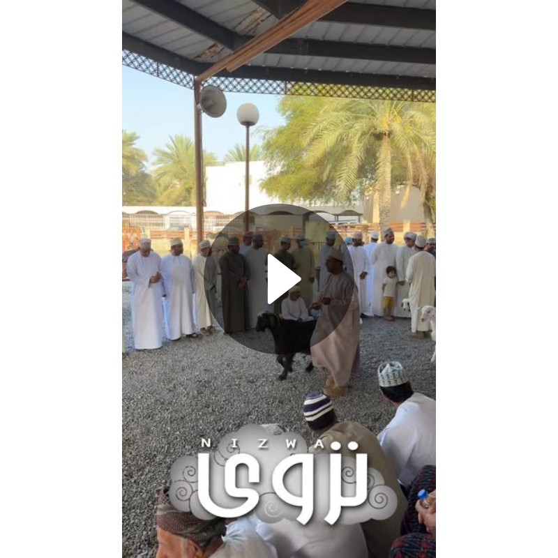 bs77-m | Spotlight on Snapchat