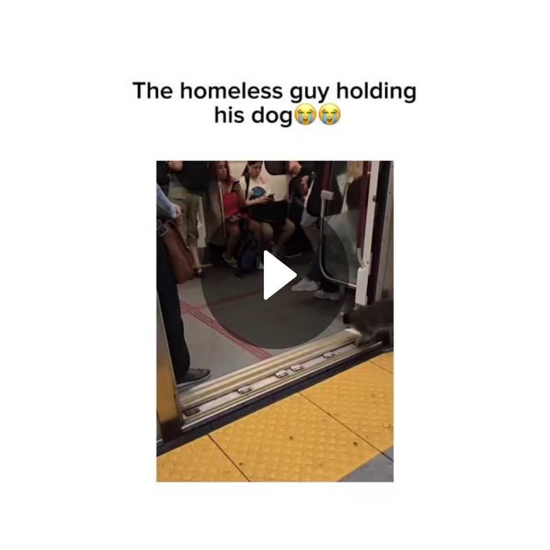 Homeless man with dogs in humorous situation. | Animal Hub ...