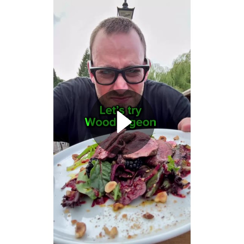 Ryan Windridge (@ryan.windridge) | Let’s try wood pigeon #woodpigeon # ...