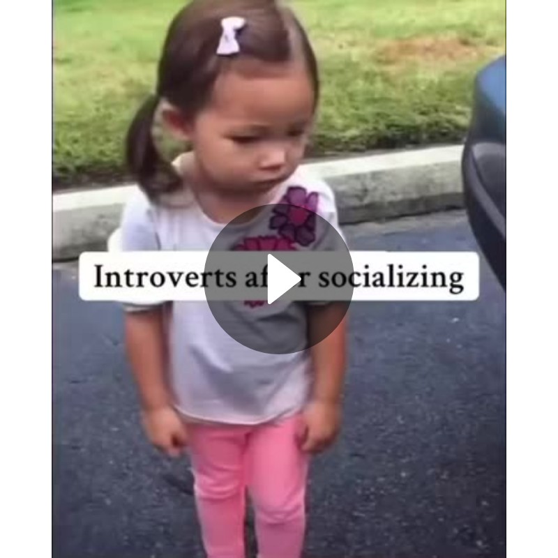 taipan-1 | Spotlight on Snapchat