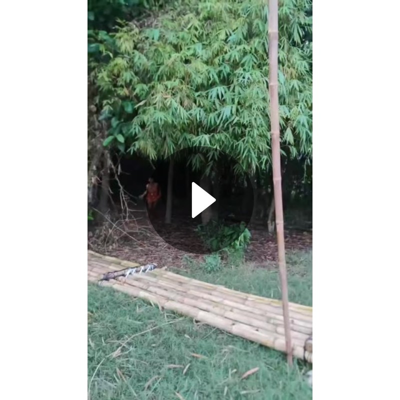 avanie_sherpa24 | Spotlight on Snapchat